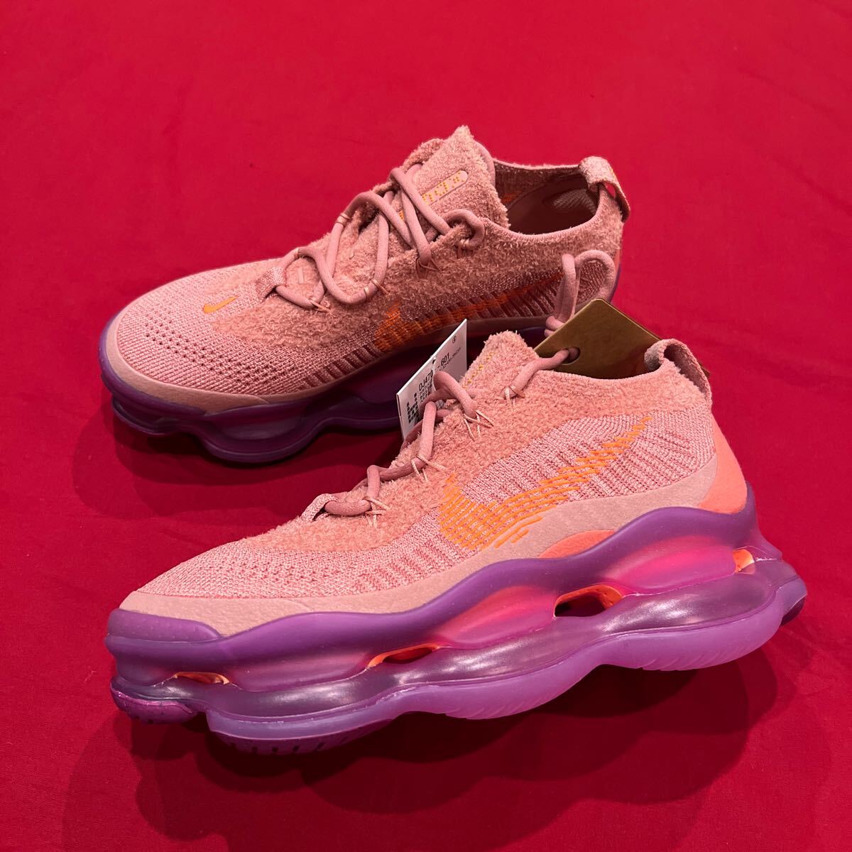 Dioscliosta Scorpions