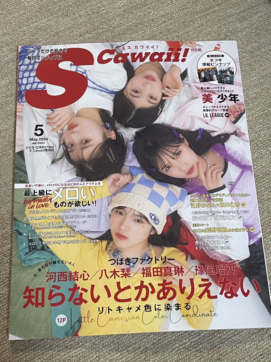 S Cawaii!エスカワイイ2001年4月号 梅宮アンナ/大桑マイミ水着/砂守かずら水着/橋場幸恵水着/平野真由水着/安田みゆき水着の落札情報詳細 - ヤフオク落札価格検索 オークフリー