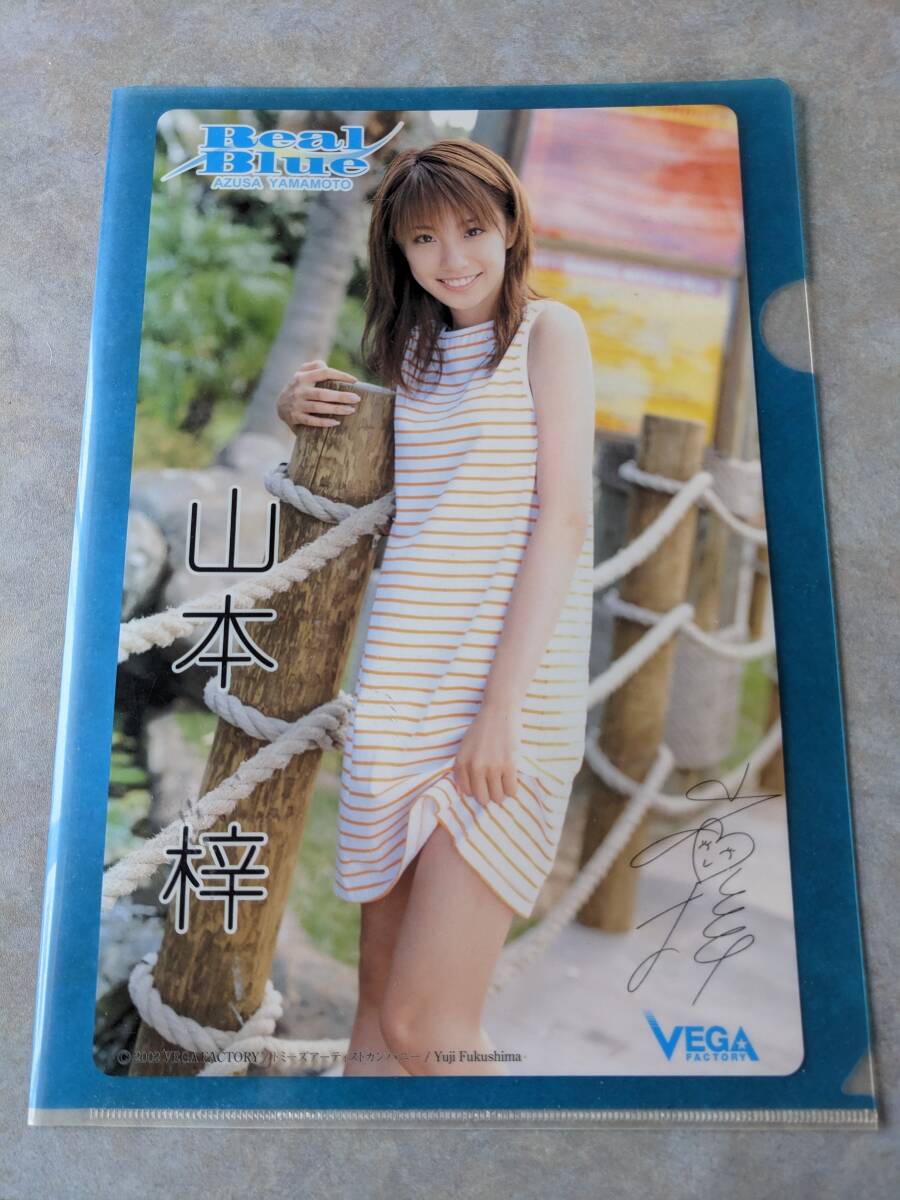 【やや傷や汚れあり】山本梓 Real Blue クリアファイル + サイン 入りDVDジャケット VEGA FACTORY 忍風戦隊 ハリケンジャー フラビージョ 役 おまけ付きの落札情報詳細 ...