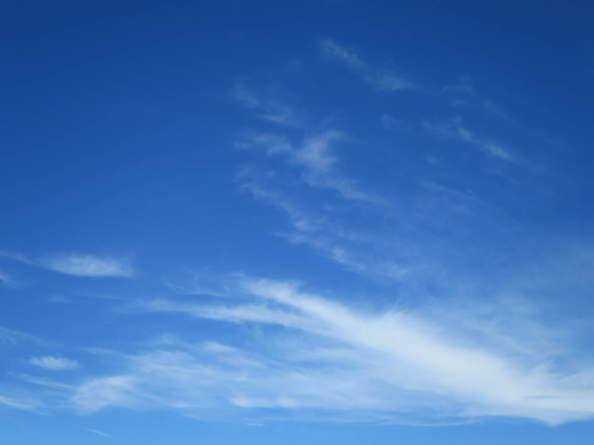 【未使用】30488 画像データ 1円 即決 1円 送料無料 即決 1円 即決★まとめて取引依頼OK リピート購入OK 複数購入OK 匿名配送 ...