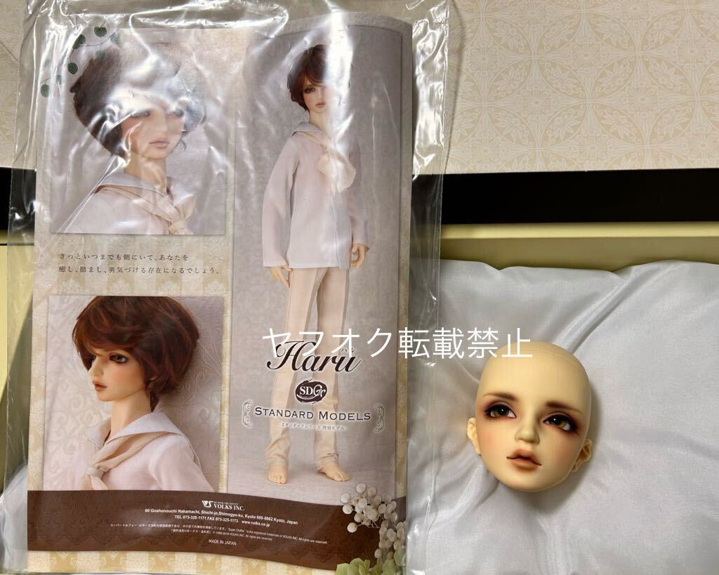 【目立った傷や汚れなし】SDGr ハル 限定コーディネートモデル ヘッド フルチョイス57番 SD_F_57 スーパードルフィー ボークス SD17 SD13の落札情報詳細 - Yahoo ...