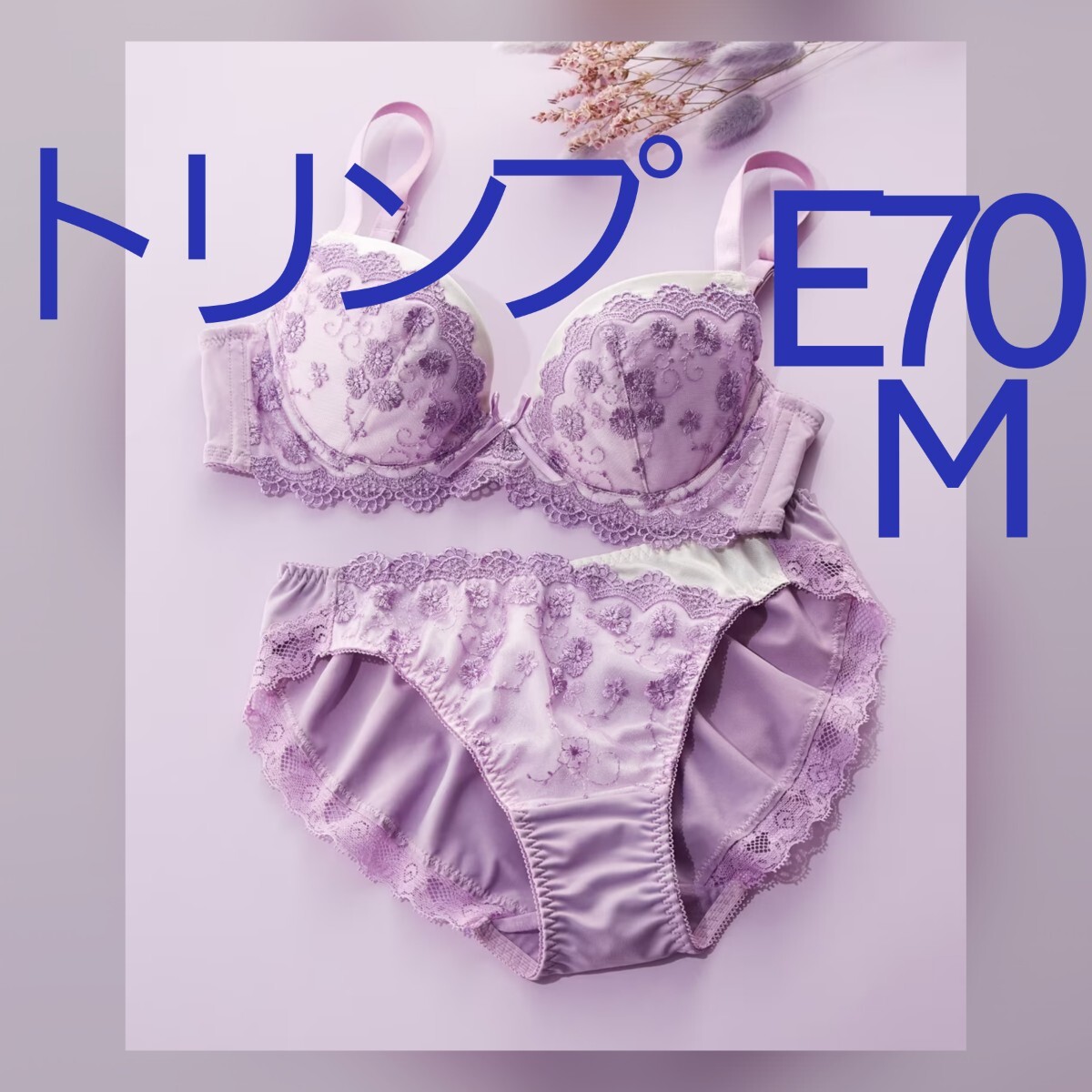 【未使用】500円スタート 25-76 新品 E70 M トリンプ ブラジャー＆ショーツセット カップは上向きバストにシルエット 脇高ブラの落札情報詳細 - Yahoo!オークション落札価格 ...