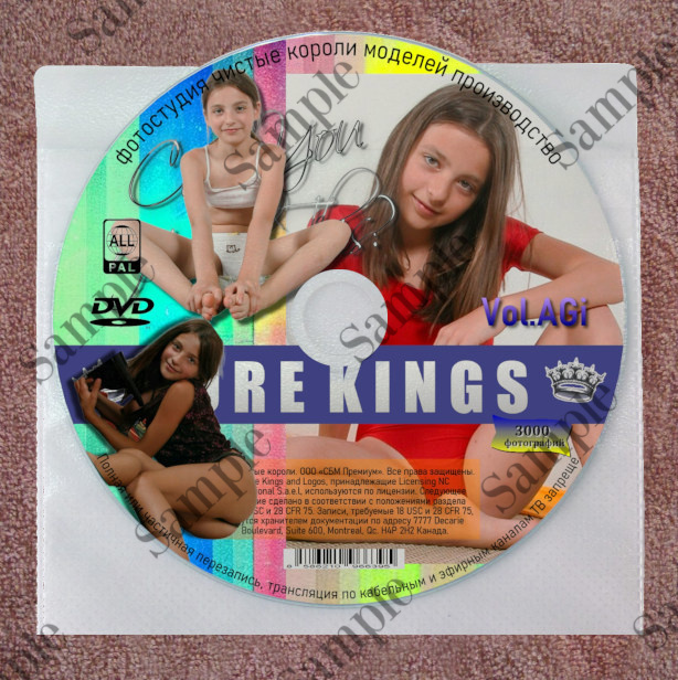 【未使用に近い】**レア** 正規品 CYHT-ディスク **Hj6z4-rs-9e20** 東欧・北欧系 海外アイドル イメージDVD-ROM写真集 #441 ロシア ウクライナの落札情報 ...