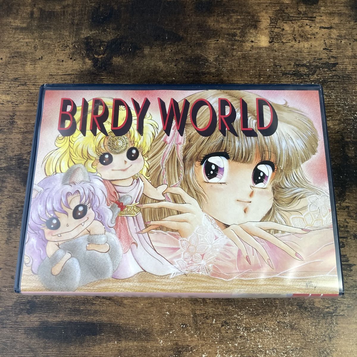 【目立った傷や汚れなし】PC-9801 5インチソフト BIRDY WORLD バーディーワールド CAL アルテミス joker PCゲーム 管理P20の落札情報詳細 - Yahoo ...