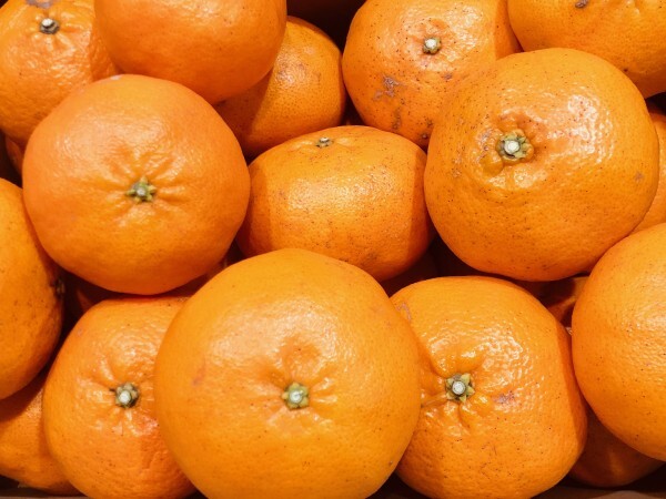 【未使用】特大！美味しい！大玉スイカの最高傑作【羅皇】特4L（9〜10kg）熊本植木産 かめまる食堂26の落札情報詳細 - Yahoo!オークション落札価格検索 オークフリー