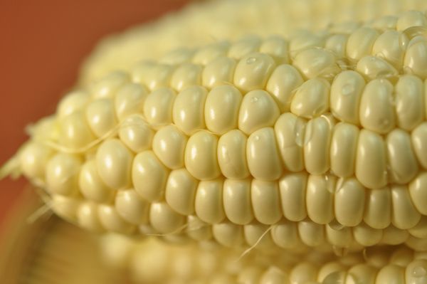 【新品】 展示品/INAX/シャワートイレ/便器/DT-B182XU/GBC-370SXU/ピュアホワイト/イナックス の落札情報詳細| ヤフオク落札価格情報 オークフリー