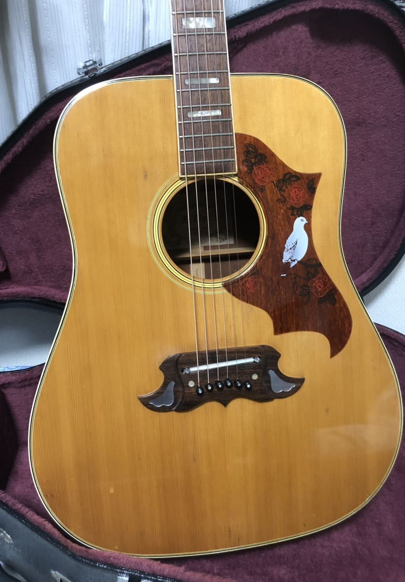 【傷や汚れあり】【1円スタート！木曜終！】かなり鳴ります！ELITE HM30 タカミネ takamine DOVE ダヴ ハミングバード アジャスタブルサドル の落札情報詳細 - Yahoo ...