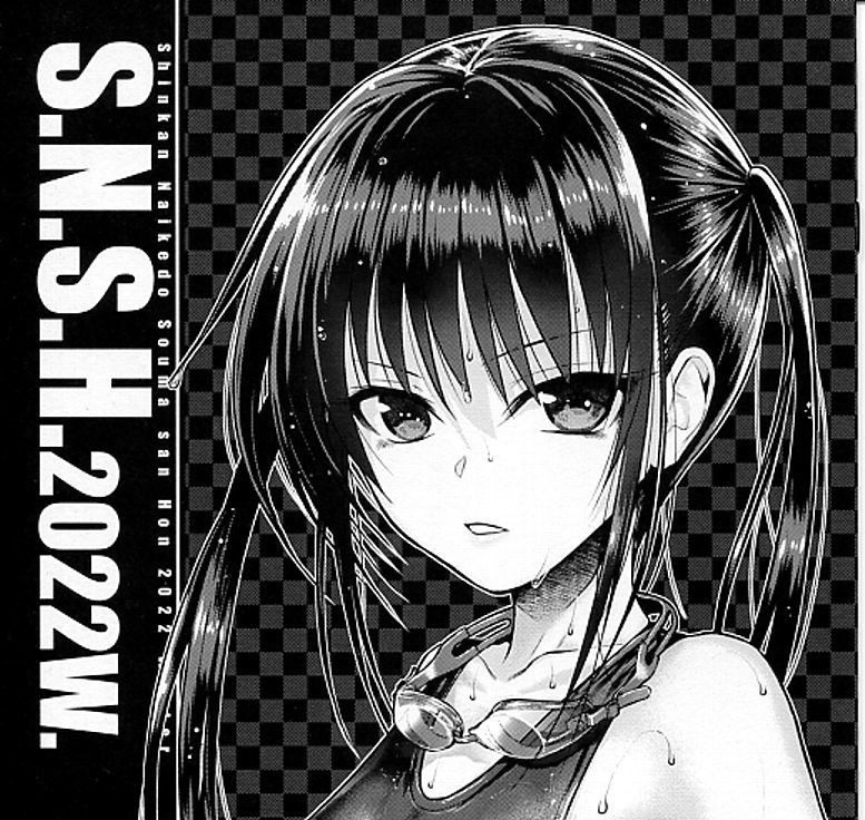 【目立った傷や汚れなし】コミケ101 40010壱号(40010試作型) 新刊折本 オリジナル 「S.N.S.H.2022W.」 C101の ...