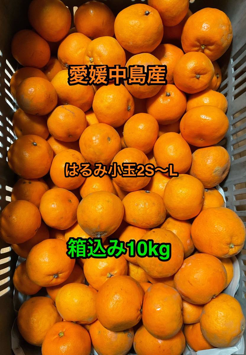 【傷や汚れあり】はるみ みかん 傷が多い家庭用 2S〜L 小玉 傷無撰別 サイズ混合 箱込み10kg 愛媛中島産 デコポンの妹？ 蔵出しみかん ② の落札情報詳細 - ヤフオク落札価格検索 ...