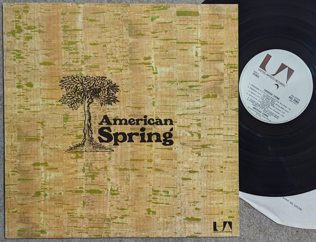 【傷や汚れあり】【送料ゼロ】American Spring Brian Wilson プロデュース Rhino編集 The Honeys ...