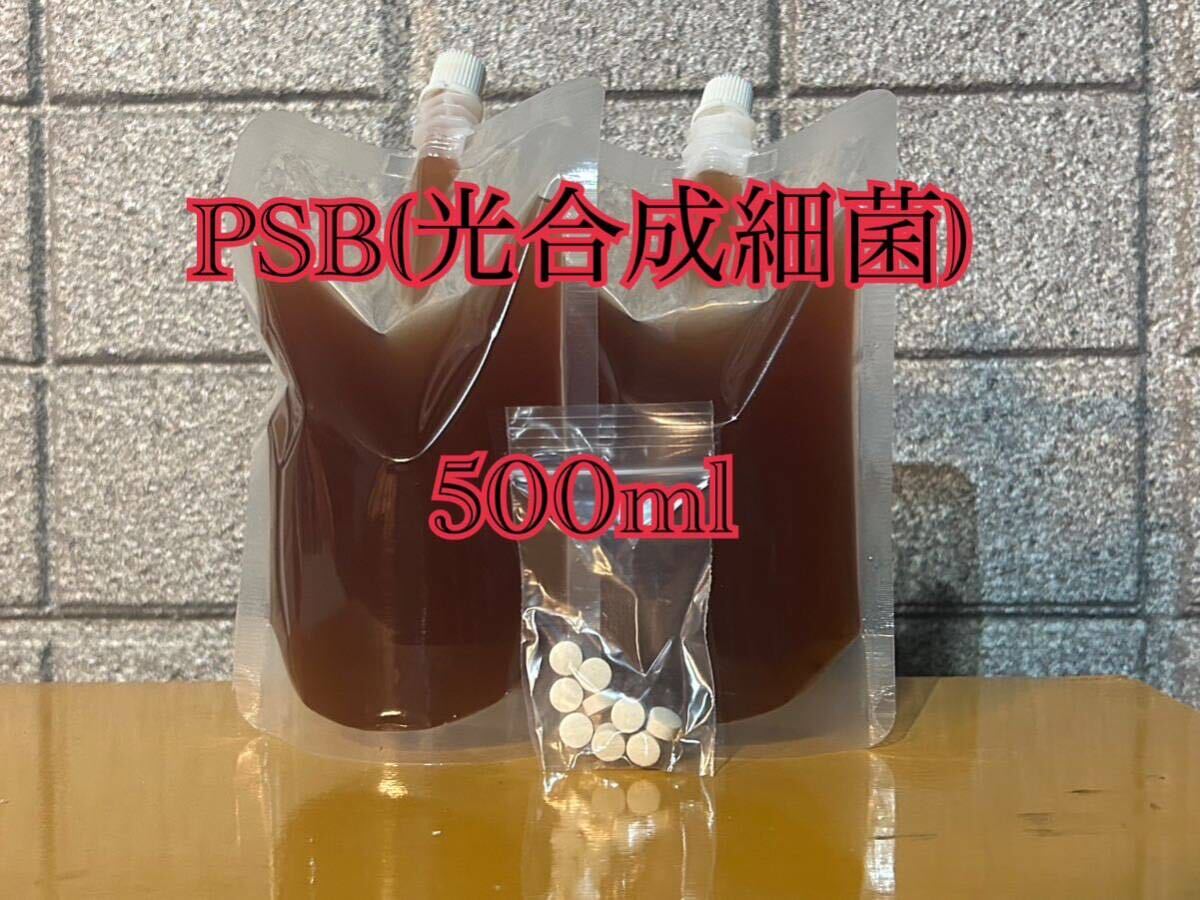 【未使用】PSB(光合成細菌) 500ml 培養酵母10錠付【送料無料】17の落札情報詳細 - Yahoo!オークション落札価格検索 オークフリー