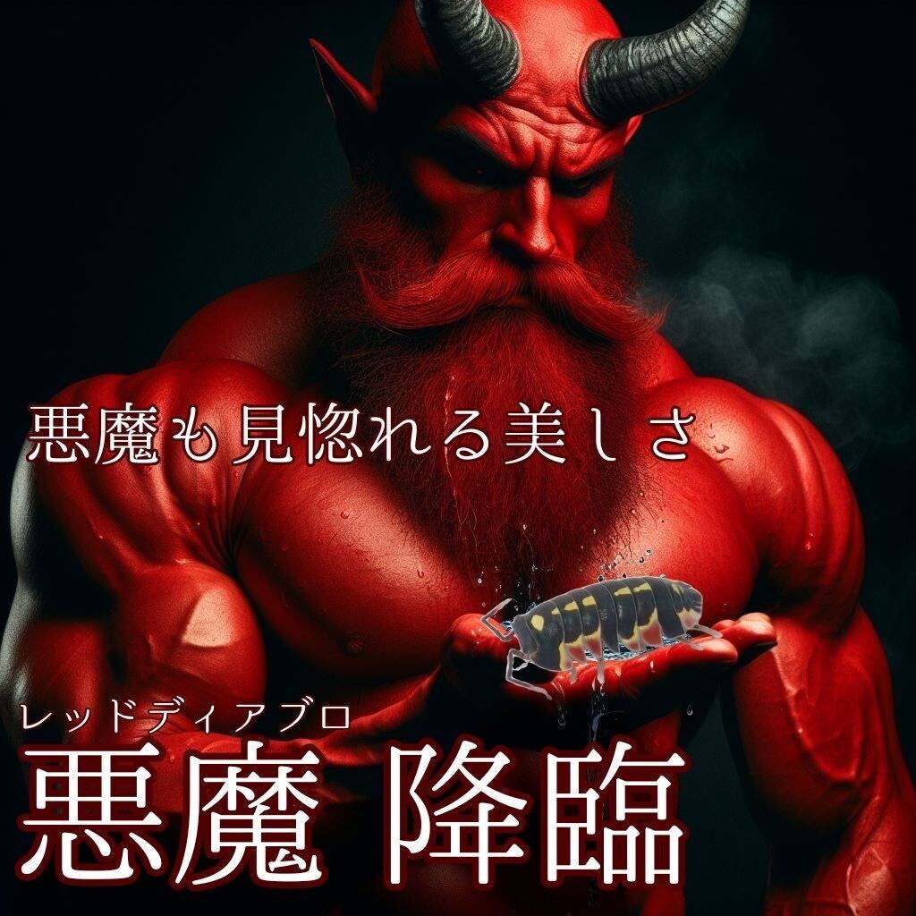 【未使用】☆即決で3匹追加☆ レッドディアブロ 5+1匹 meruranella sp.red diablo メルラネラ ダンゴムシ 美麗種 ...