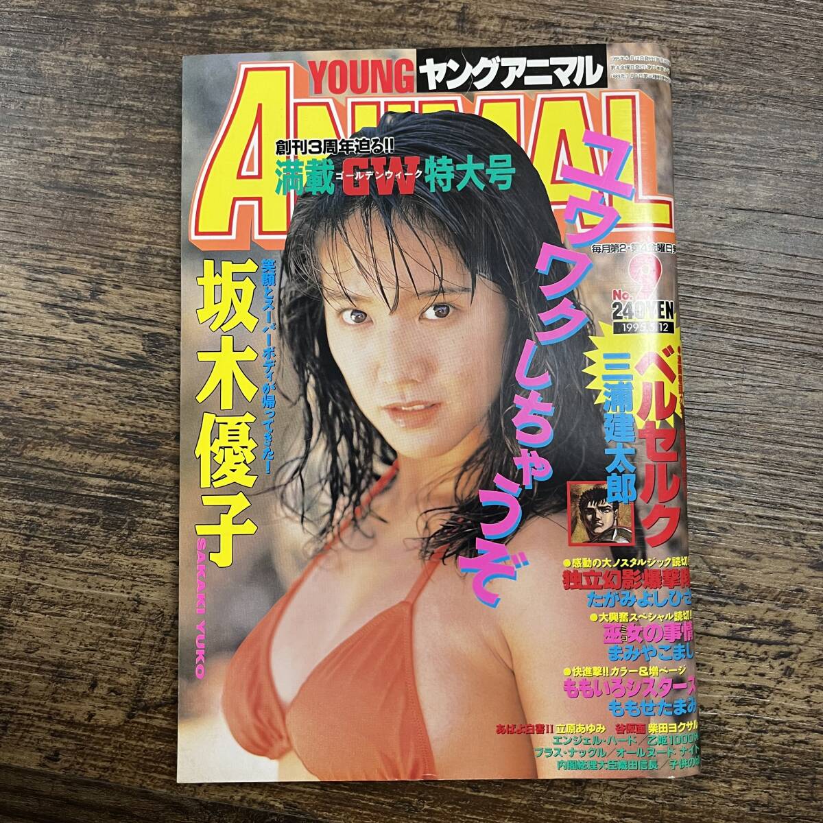 【やや傷や汚れあり】K-5671 ヤングアニマル No.9 1995年5月12日 坂木優子 ベルセルク たがみよしひさ まみやこまし 白泉社 グラビア 漫画の落札情報詳細 - Yahoo ...