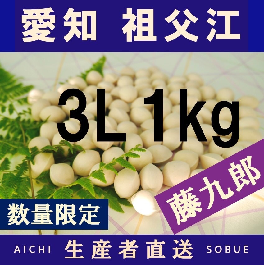 【未使用】藤九郎2024年新物 藤九郎 銀杏 祖父江産 3L 1kgの落札情報詳細 - Yahoo!オークション落札価格検索 オークフリー