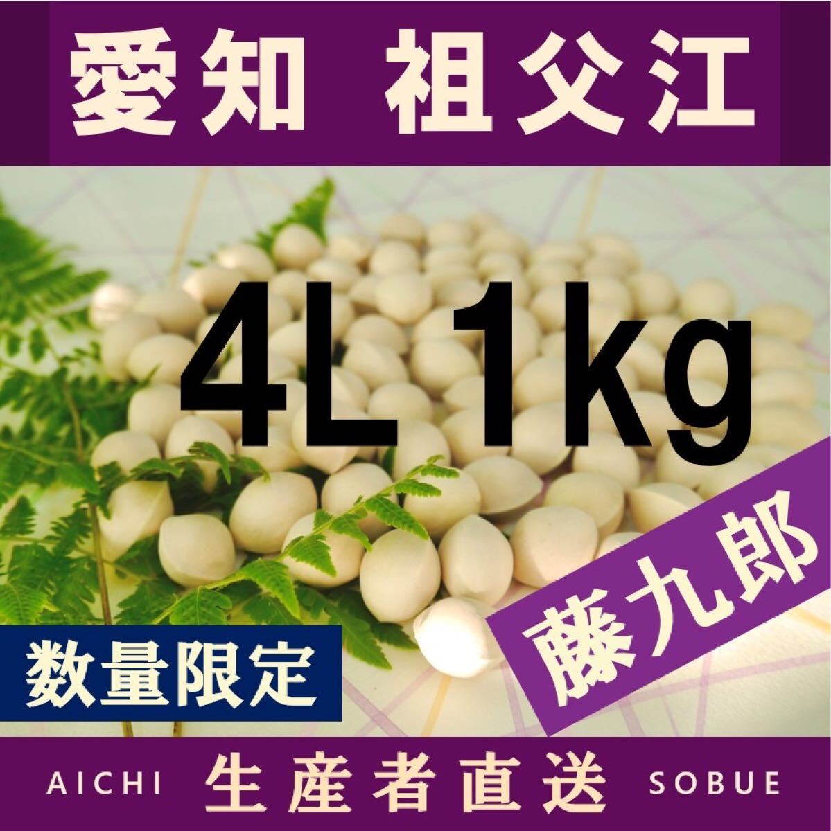 【未使用】2024年新物 藤九郎銀杏 生産者直送 愛知県 祖父江産 ぎんなん 4L 1kgの落札情報詳細 - Yahoo!オークション落札価格検索 オークフリー