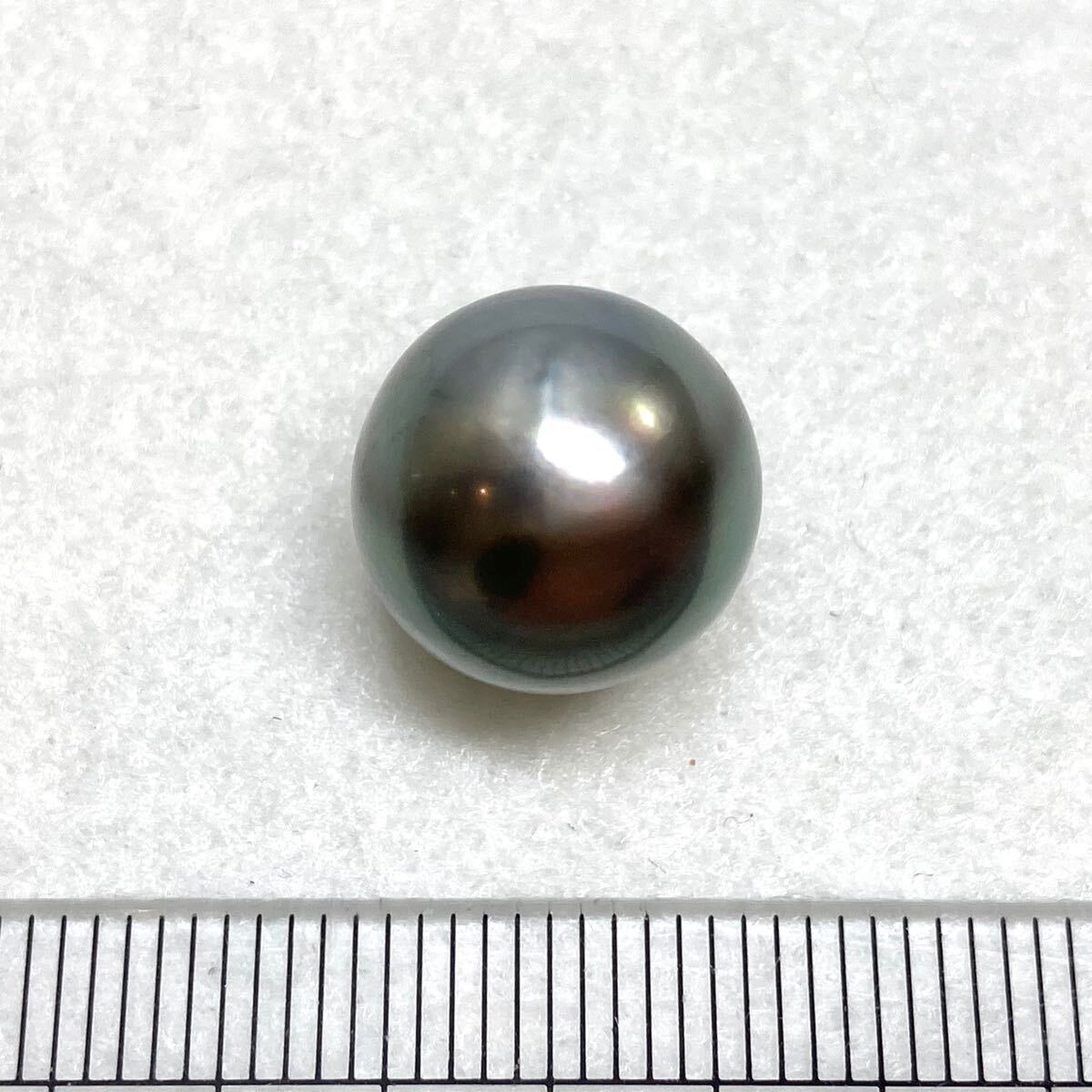 【やや傷や汚れあり】 南洋黒蝶真珠13.748ct o 約12.5mm ルース 裸石 宝石 black pearl tahitian パール CF9/CF9 テDG5 w5 C73の落札情報 ...