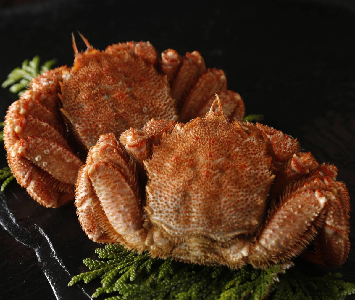 【未使用】【北海道産】大毛蟹2尾セット(計1.24kg) ボイル冷凍 年末年始 お正月 毛ガニ 蟹みそ カニの落札情報詳細 - Yahoo!オークション落札価格検索 オークフリー
