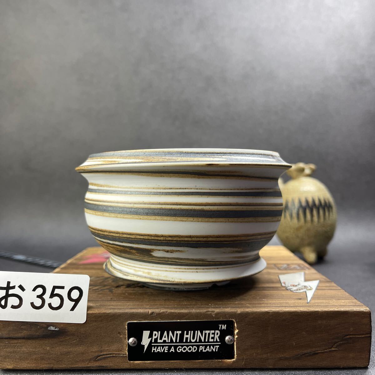 【未使用】お359 M Hand MADE 植木鉢 陶器 検（アガベ パキプス invisible ink raw life factory SRL 伝市鉢カタチ製作所 グラキリス 塊根植物の ...