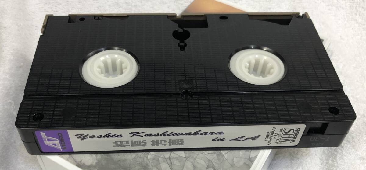 【やや傷や汚れあり】柏原芳恵 YOSHIE KASHIWABARA in LA VHSビデオです。の落札情報詳細 - Yahoo!オークション落札価格検索 オークフリー