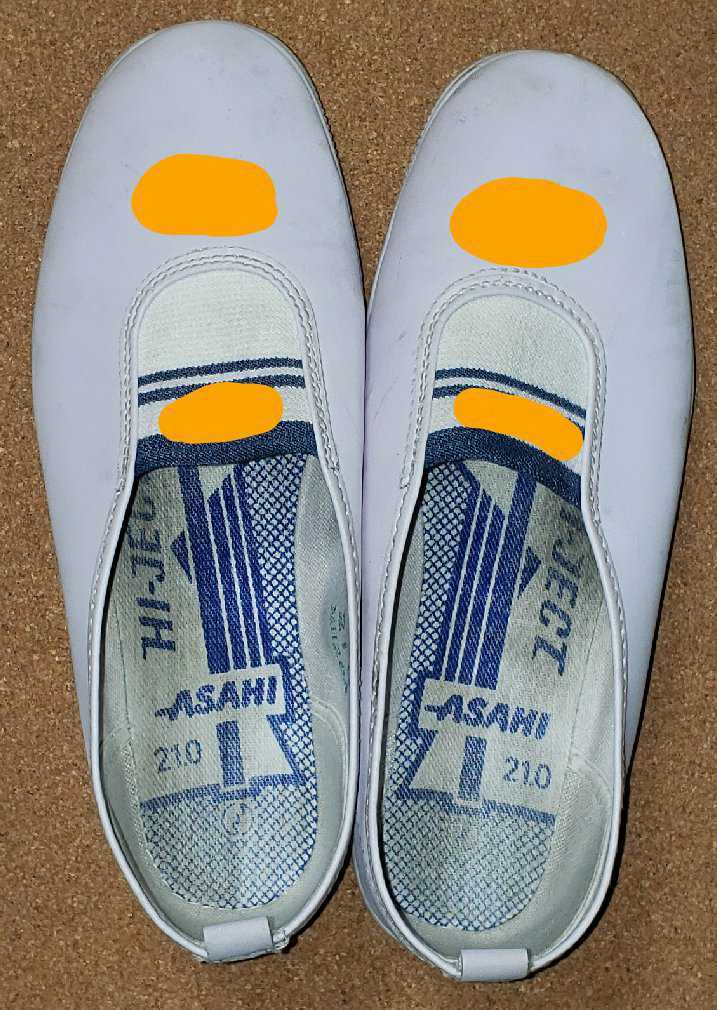 ASAHI HI-JECT アサヒ ハイゼクト 21.0EE 前ゴム スクールシューズ ズック 上履き の落札情報詳細| ヤフオク落札価格情報 オークフリー