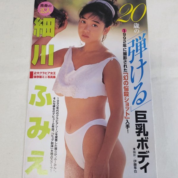 【やや傷や汚れあり】bk439 細川ふみえ／アグネス・ラム（20歳 弾ける巨乳／18歳の小麦色ボディ） 冊子（20 5×13cm） 12ページ