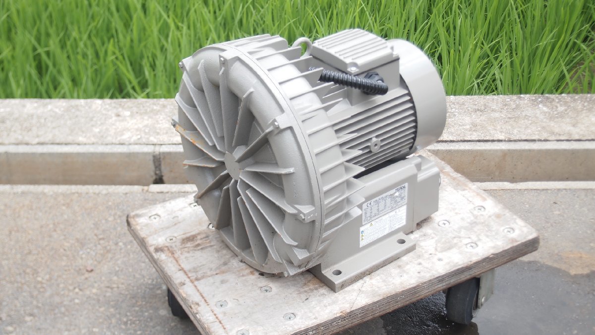 【傷や汚れあり】 【3Y】 2021年製 TERAL テラル リングブロア 送風機 VFZ601A ④ 動作保証 の落札情報詳細 - ヤフオク落札価格検索 オークフリー