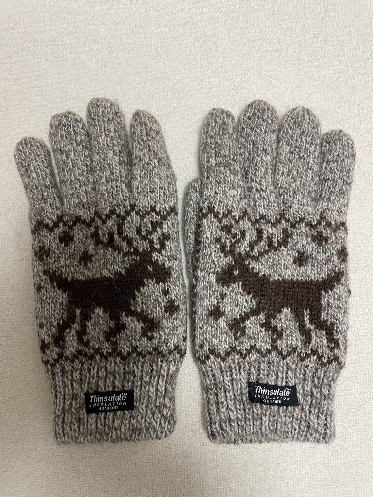【未使用に近い】シンサレート 手袋 トナカイ柄 ベージュ Thinsulate INSULATION 409ramの落札情報詳細 - ヤフオク落札価格検索 オークフリー