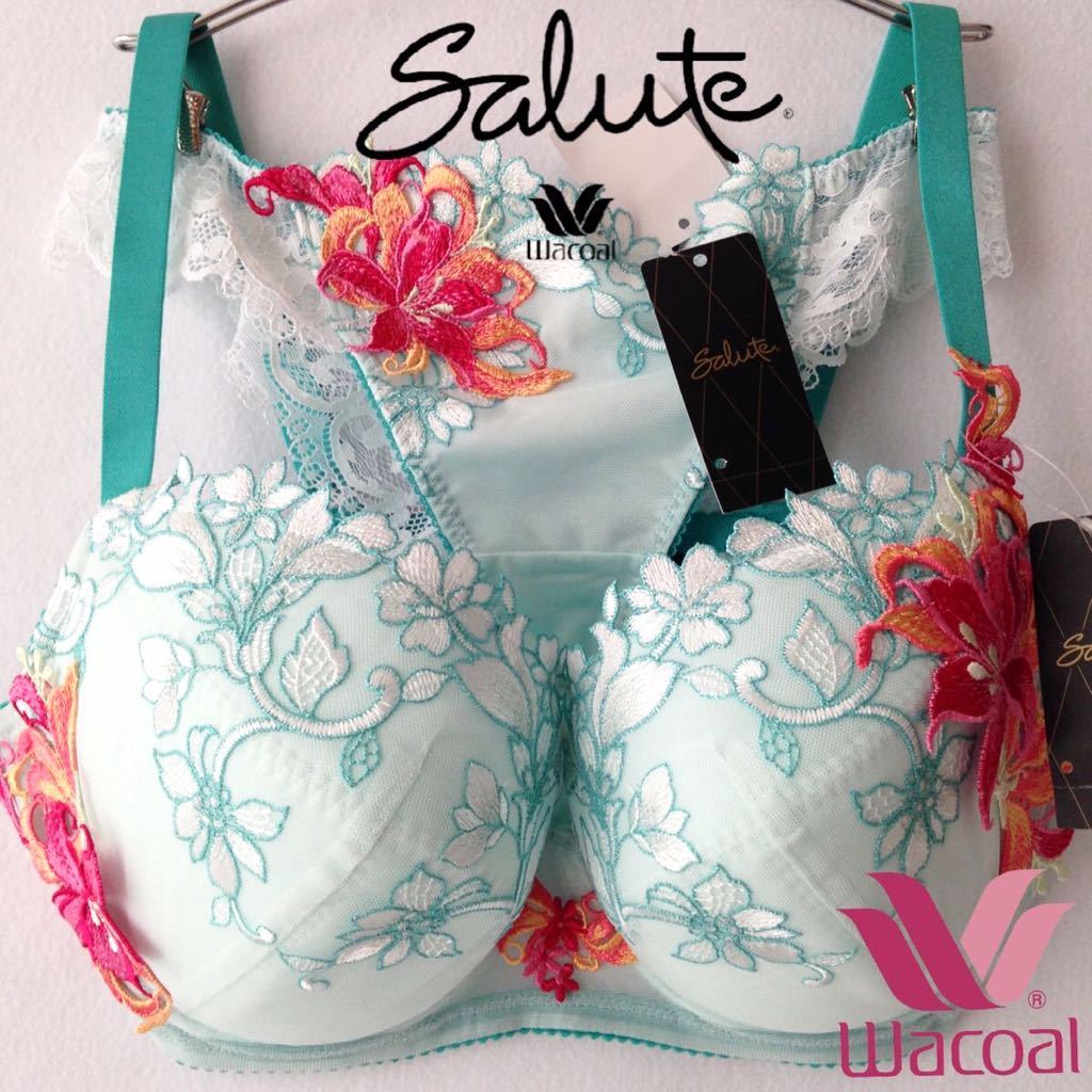 【未使用】新品 タグ付き ワコール サルート53グループ P-upタイプ ブラジャーソングセット H80Lの落札情報詳細 - ヤフオク落札価格検索 オークフリー