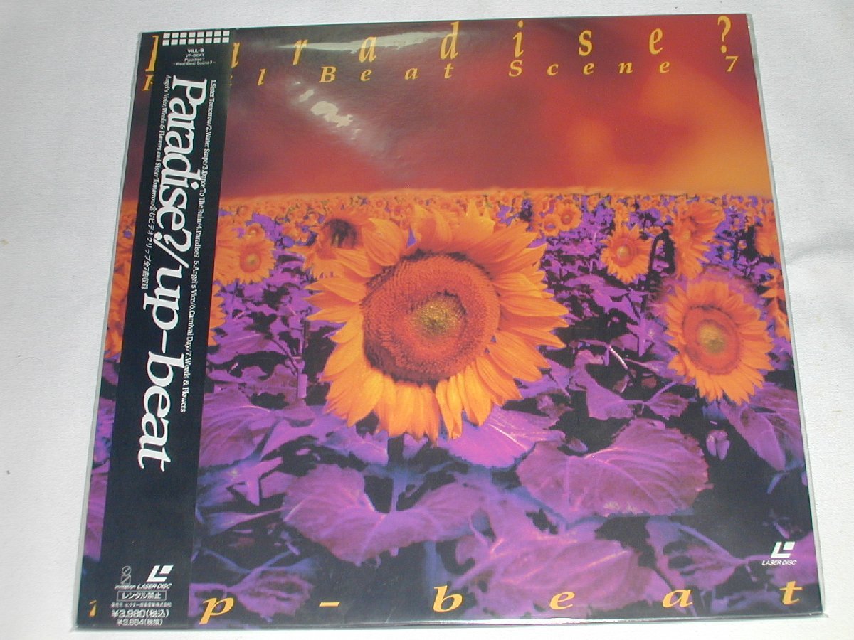 【目立った傷や汚れなし】（LD：レーザーディスク）up-beat／Paradise? Real Beat Scene7【中古】の落札情報詳細 ...