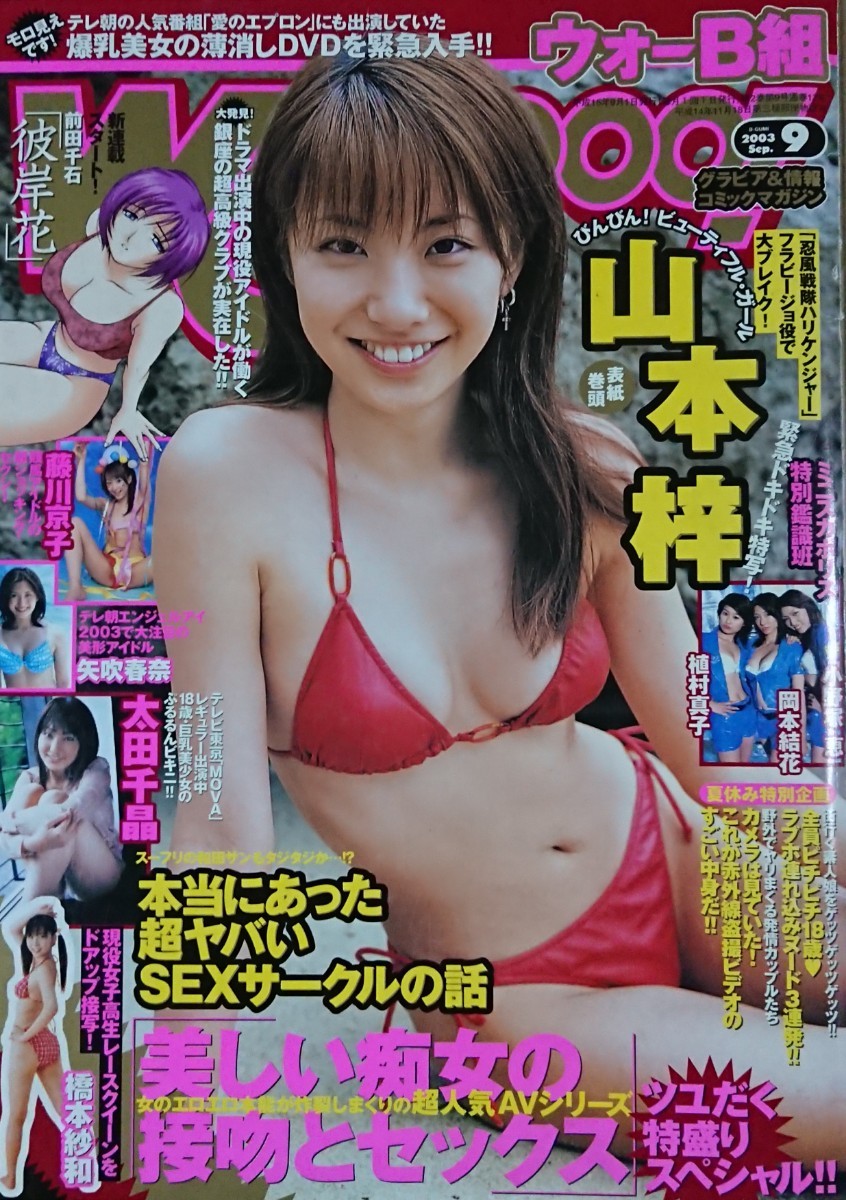 【やや傷や汚れあり】同梱可！ 山本梓 雑誌切り抜き 表紙＋グラビア 10Pの落札情報詳細 - Yahoo!オークション落札価格検索 オークフリー