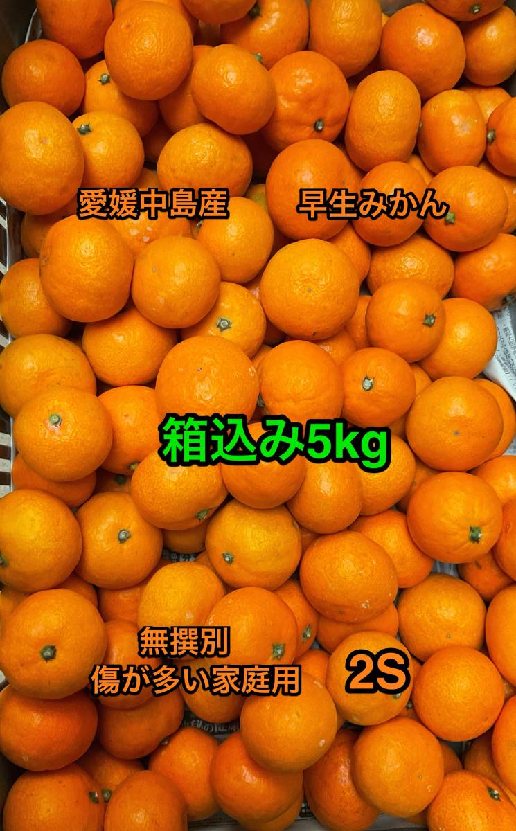 【やや傷や汚れあり】全国送料無料 宮川早生みかん 無撰別家庭用 小玉のみ 2S 箱込み5kg 愛媛中島産 10の落札情報詳細 - ヤフオク落札価格検索 オークフリー