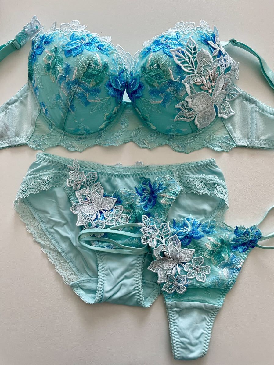 【未使用】☆ワコール サルート 46G【マダガスカル】C70 M の落札情報詳細 - ヤフオク落札価格検索 オークフリー