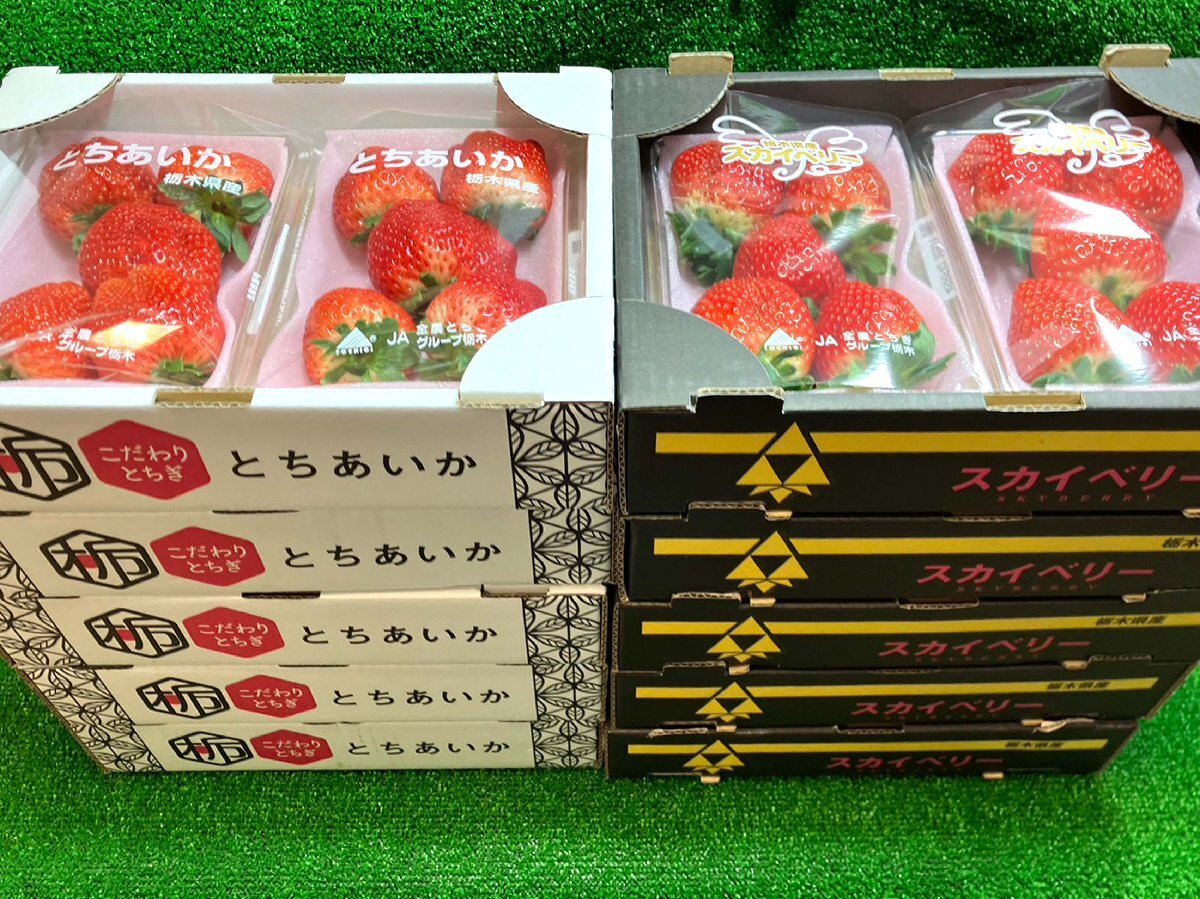 【未使用】【Good】大量10箱セット！！たっぷり20パックお届けです♪高級いちご 栃木産『スカイベリー』＆『とちあいか』ご予約の落札情報詳細 ...