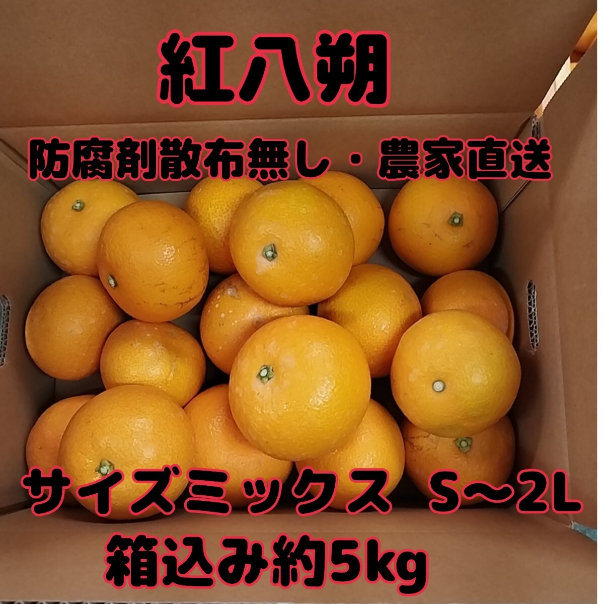 【やや傷や汚れあり】和歌山有田産 紅八朔 はっさく② サイズS〜2L 5kgの落札情報詳細 - Yahoo!オークション落札価格検索 オークフリー