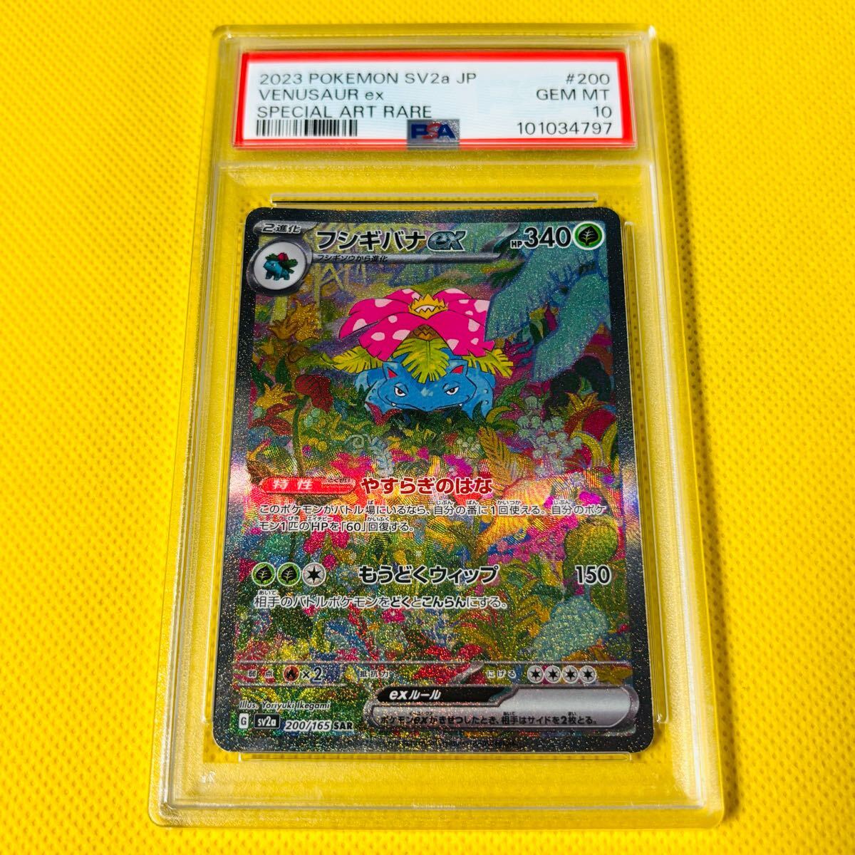 【未使用】★PSA10★GEM MINT【フシギバナex/SAR/SV2a】2023 VENUSAUR ex 200/165【ポケモンカード/ポケカ/Pokemon Cards ...