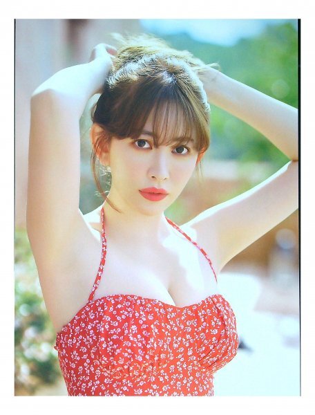 【目立った傷や汚れなし】AD170 小嶋陽菜（AKB48）Tバック 切り抜き 4ページ 切抜き 水着 ビキニの落札情報詳細 - Yahoo!オークション落札価格検索 オークフリー