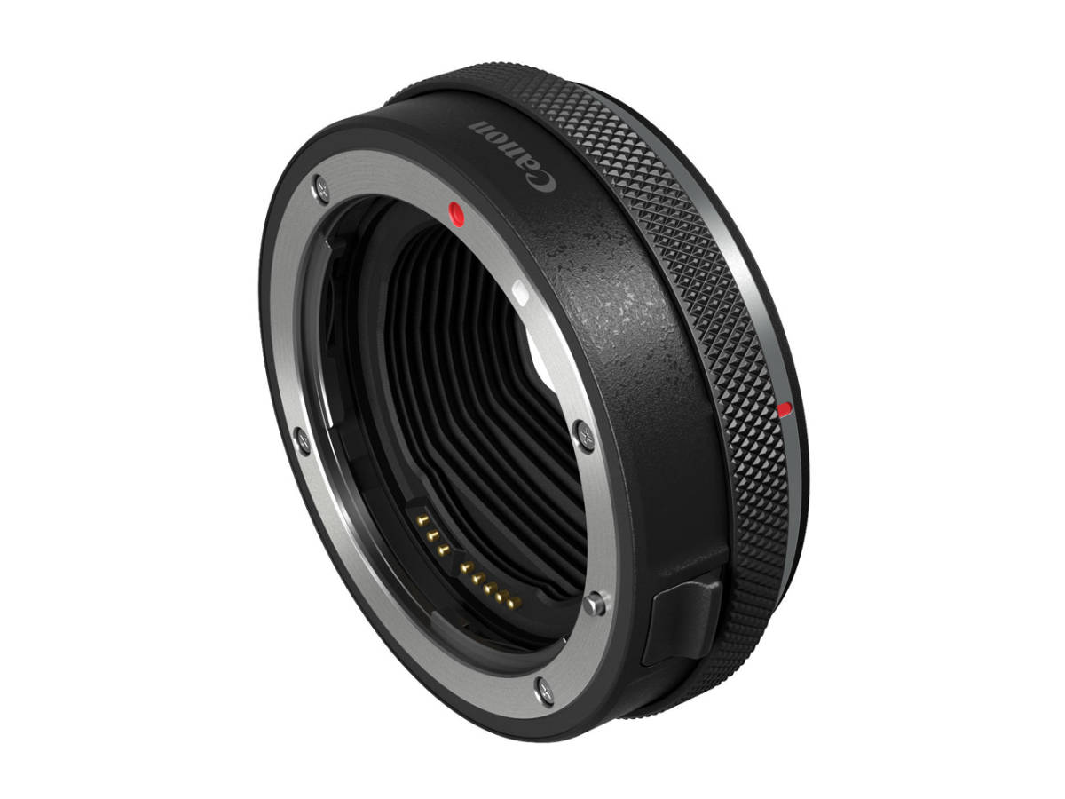 【傷や汚れあり】【2日間から~レンタル】Canon EOS R6 フルサイズ ミラーレス カメラ 選べるレンズ無料or有料(EFアダプタ＆SDXC64GB＆予備B付)【管理CB07】の落札情報 ...