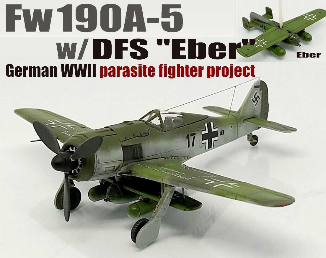 1/144 完成品 Fw190A-5 w/DFS Eber ロケット戦闘機装備機 parasite fighter projectの落札情報 ...