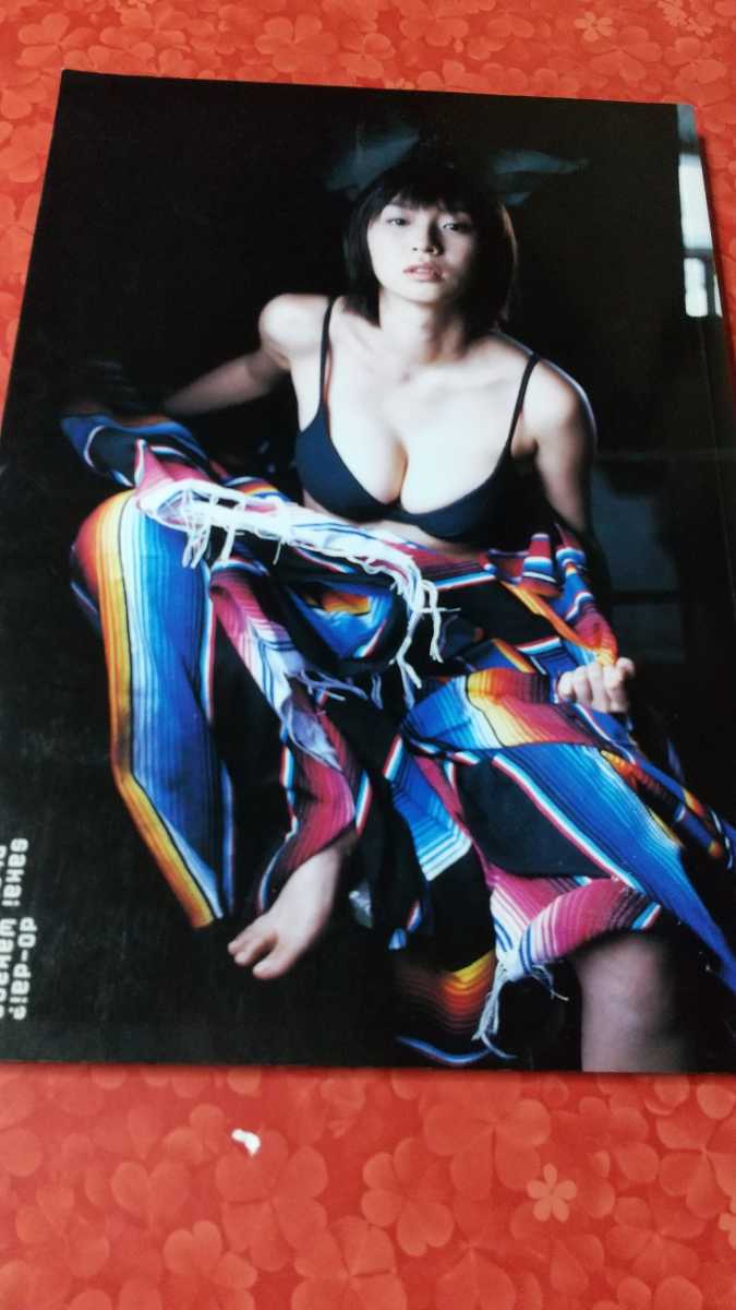 【目立った傷や汚れなし】酒井若菜写真集 Do-Daiの落札情報詳細 - Yahoo!オークション落札価格検索 オークフリー