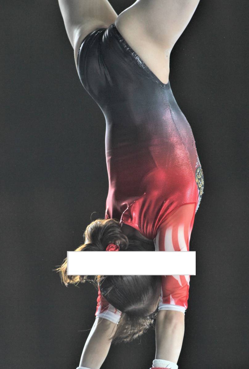 【目立った傷や汚れなし】a・teramoto 2L版1枚 gy ⑨ の落札情報詳細| ヤフオク落札価格情報 オークフリー