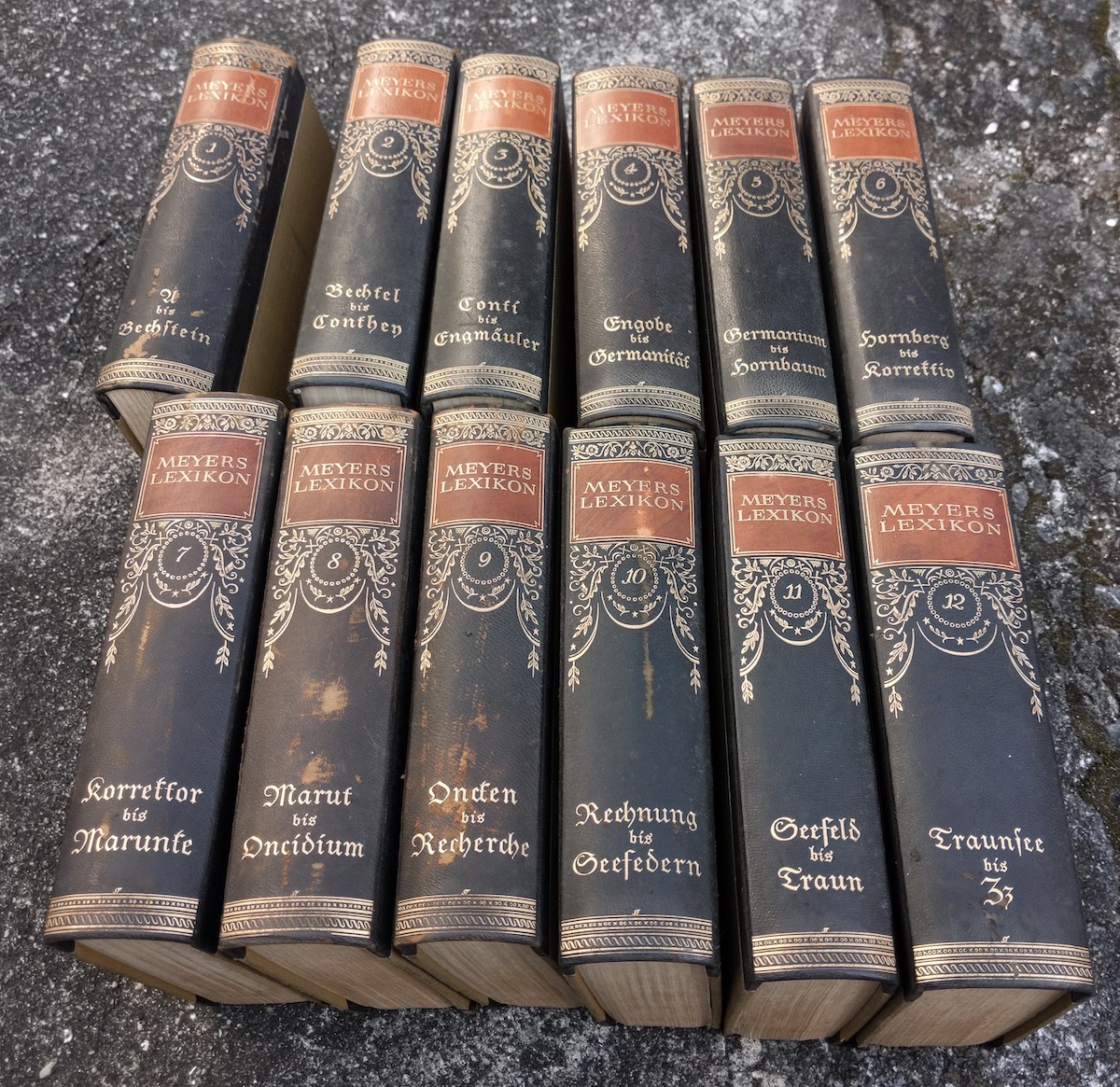 【やや傷や汚れあり】洋書 Meyers Lexikon マイヤー百科事典 12冊一括 独語 ドイツ 辞書 辞典 絵入本 図版多数 博物学 植物 ...
