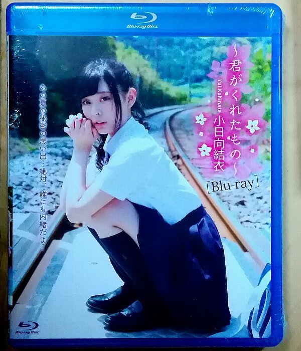 GRAVBの最近30日の、オークション落札価格一覧| オークフリー