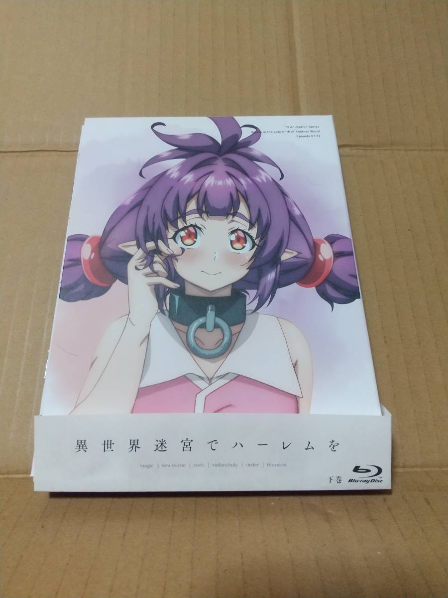 【未使用に近い】異世界迷宮でハーレムを Blu Ray Box 下巻 の落札情報詳細 ヤフオク落札価格情報 オークフリー