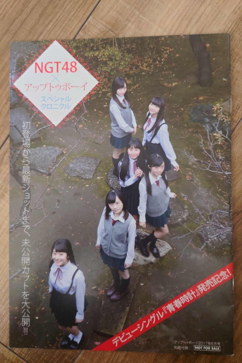 【目立った傷や汚れなし】NGT48「アップトゥボーイ2017年6月号」付録別冊フォトブック（山口真帆、加藤美南ほか）の落札情報詳細 - Yahoo!オークション落札価格検索 オークフリー