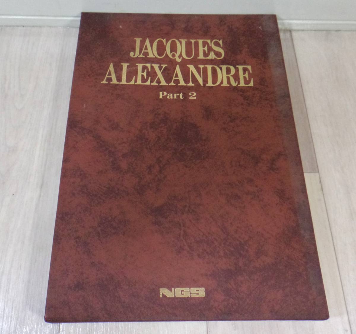 【傷や汚れあり】David Hamilton作風☆France JACQUES ALEXANDRE アート写真集《希少 絶版写真集》の落札情報詳細 - ヤフオク落札価格検索 オークフリー
