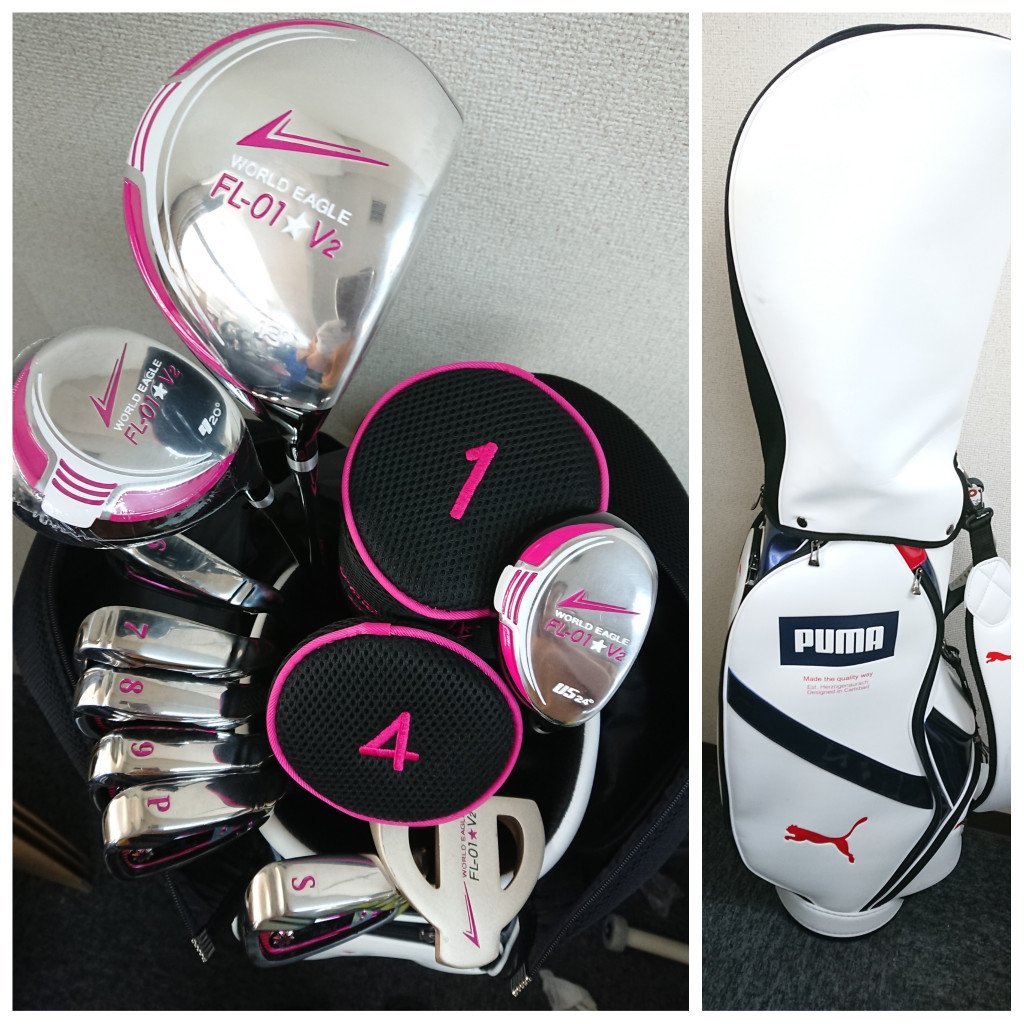 【やや傷や汚れあり】96110《未使用あり》WORLD EAGLE ワールドイーグル FL-01 V2 レディース ゴルフ10本 L キャディ付きの落札情報詳細 - Yahoo!オークション ...