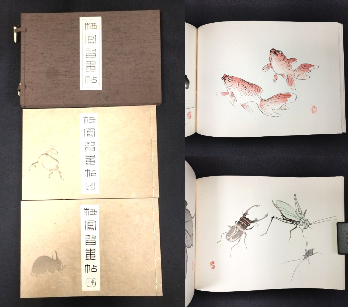 【やや傷や汚れあり】Y368 彩色 絵入絵本 栖鳳習画帖 2冊揃 帙付き 竹内栖鳳 芸艸堂 花鳥 兎 金魚 虫など 手本 時代物 木版画 骨董 古美術 古文書 和本 古書の落札情報詳細 ...