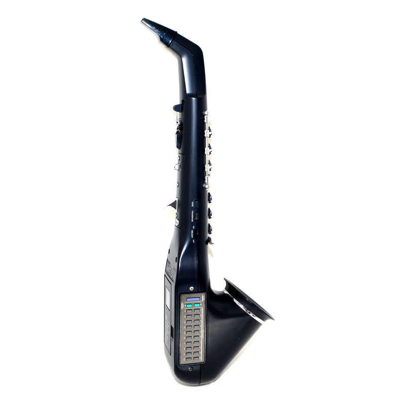 【目立った傷や汚れなし】【激稀少ロム付属!!/美品】CASIO カシオ DH-800 DIGITAL HORN with ROM&MIDI ...