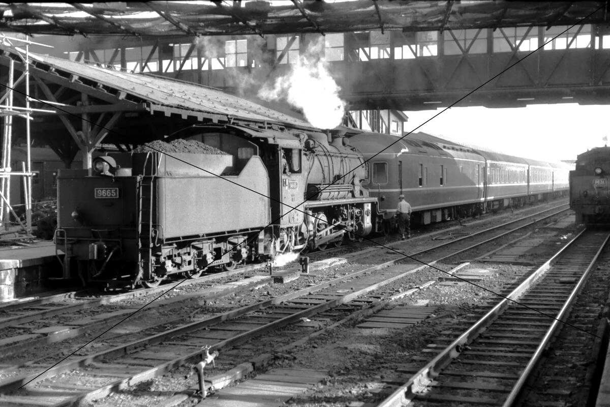 【目立った傷や汚れなし】掲載最終コマ!9665切り欠きテンダー〔青〕＝昭和40年代のSLモノクロネガ35mm1コマ/青森駅/はくつる入換/S42.8.26・著作権譲渡証明書=有or無の落札情報 ...