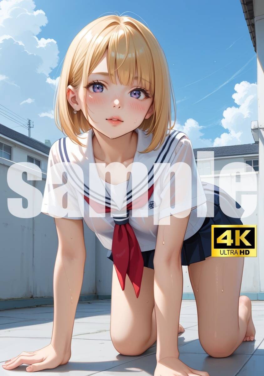 【未使用】22533【即決で再販無・A4・4K】 オリジナル 制服美女 コスプレ パンチラ イラスト アニメ 同人 ポスター フェチ 可愛い 巨乳 美脚 お尻 AIの落札情報詳細 ...